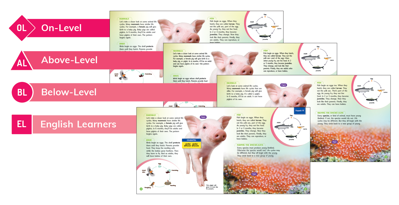 Twig Science Series – Dinardo Design